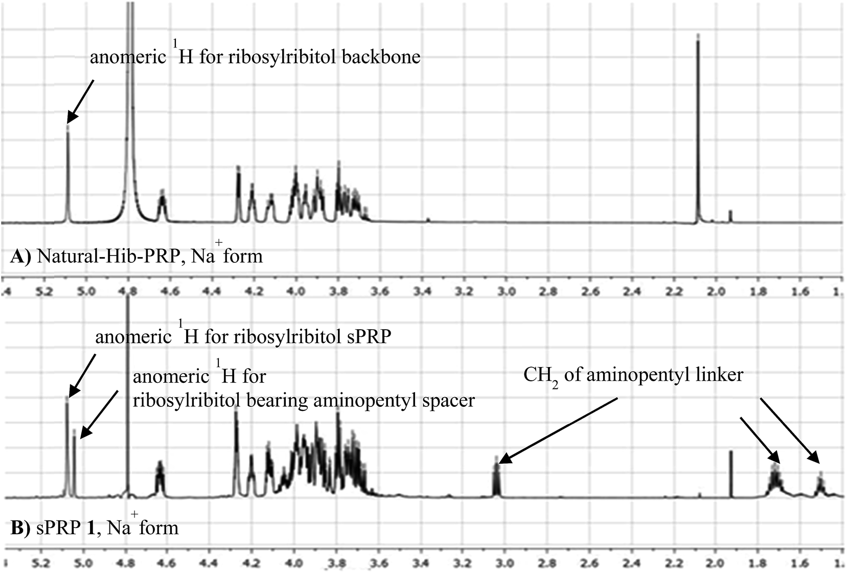 A modular synthetic route to size-defined immunogenic Haemophilus ...