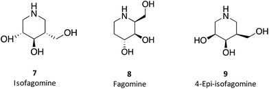 Tuning protein folding in lysosomal storage diseases: the chemistry ...
