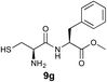 Coupling of sterically demanding peptides by β-thiolactone-mediated ...