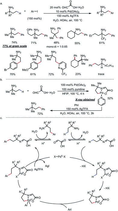 sp 3 C–H activation via exo -type directing groups - Chemical Science ...