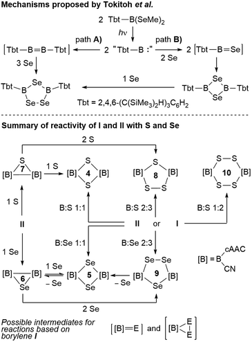 Closely related yet different: a borylene and its dimer are non ...