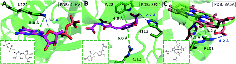 Cation–π interactions in protein–ligand binding: theory and data-mining ...