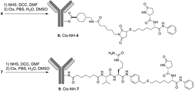 Antibody drug conjugates (ADCs) charged with HDAC inhibitor for ...