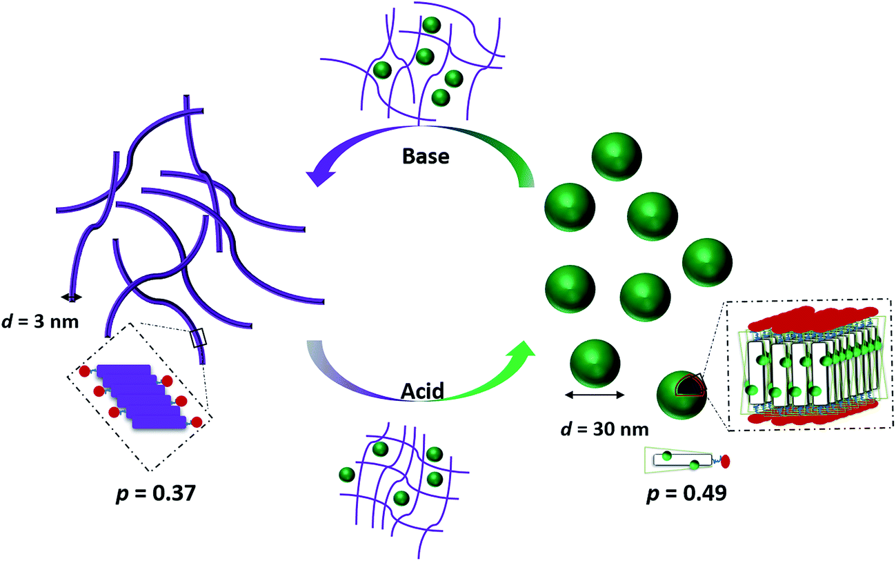 An addressable packing parameter approach for reversibly tuning the ...