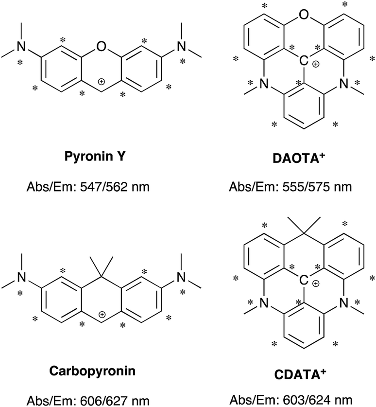 Design, synthesis, and time-gated cell imaging of carbon-bridged ...