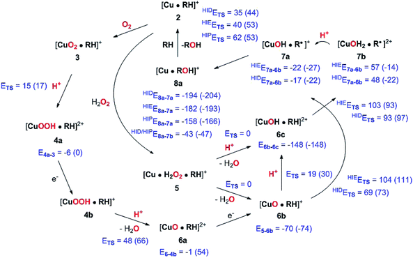 Molecular mechanism of lytic polysaccharide monooxygenases - Chemical ...