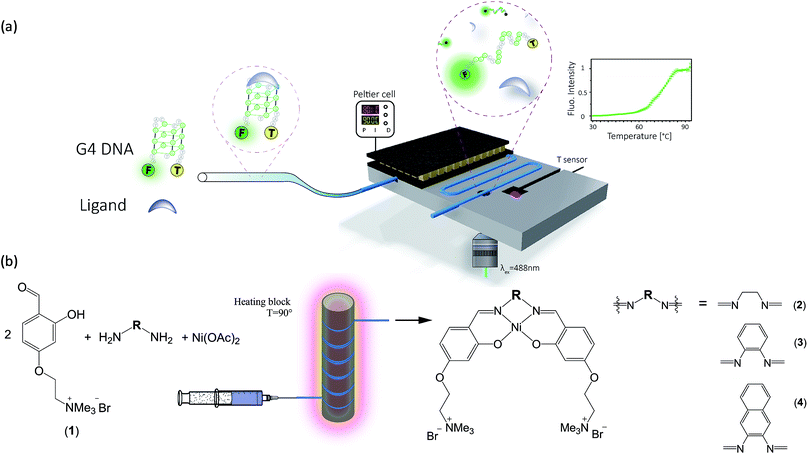 Development of microfluidic platforms for the synthesis of metal ...