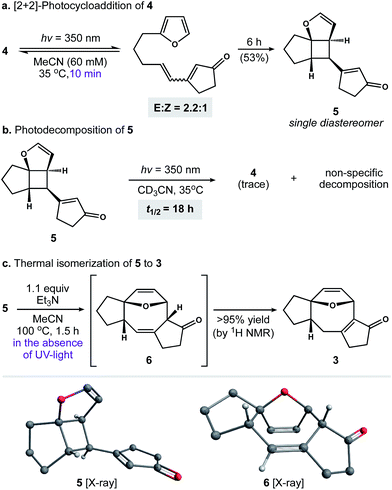 Modular access to functionalized 5–8–5 fused ring systems via a ...
