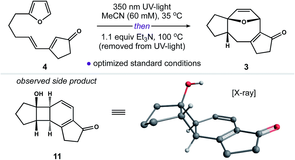 Modular access to functionalized 5–8–5 fused ring systems via a ...