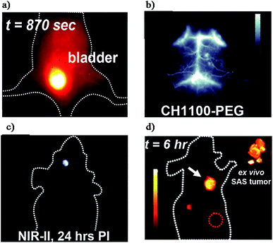 Recent advances in near-infrared II fluorophores for multifunctional ...