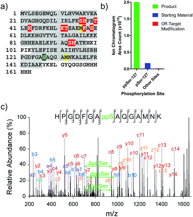 Pyrophosphorylation via selective phosphoprotein derivatization ...
