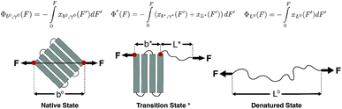 Structural–elastic determination of the force-dependent transition rate ...