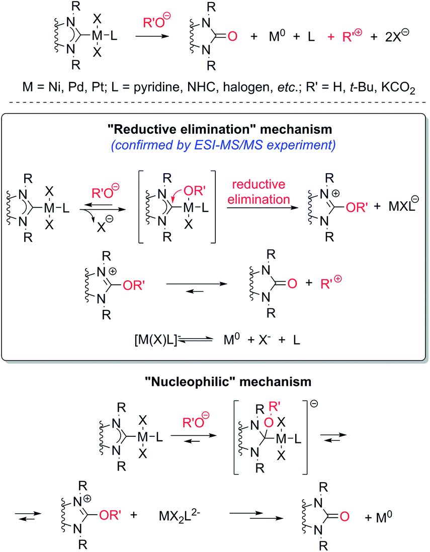 Revealing the unusual role of bases in activation/deactivation of ...