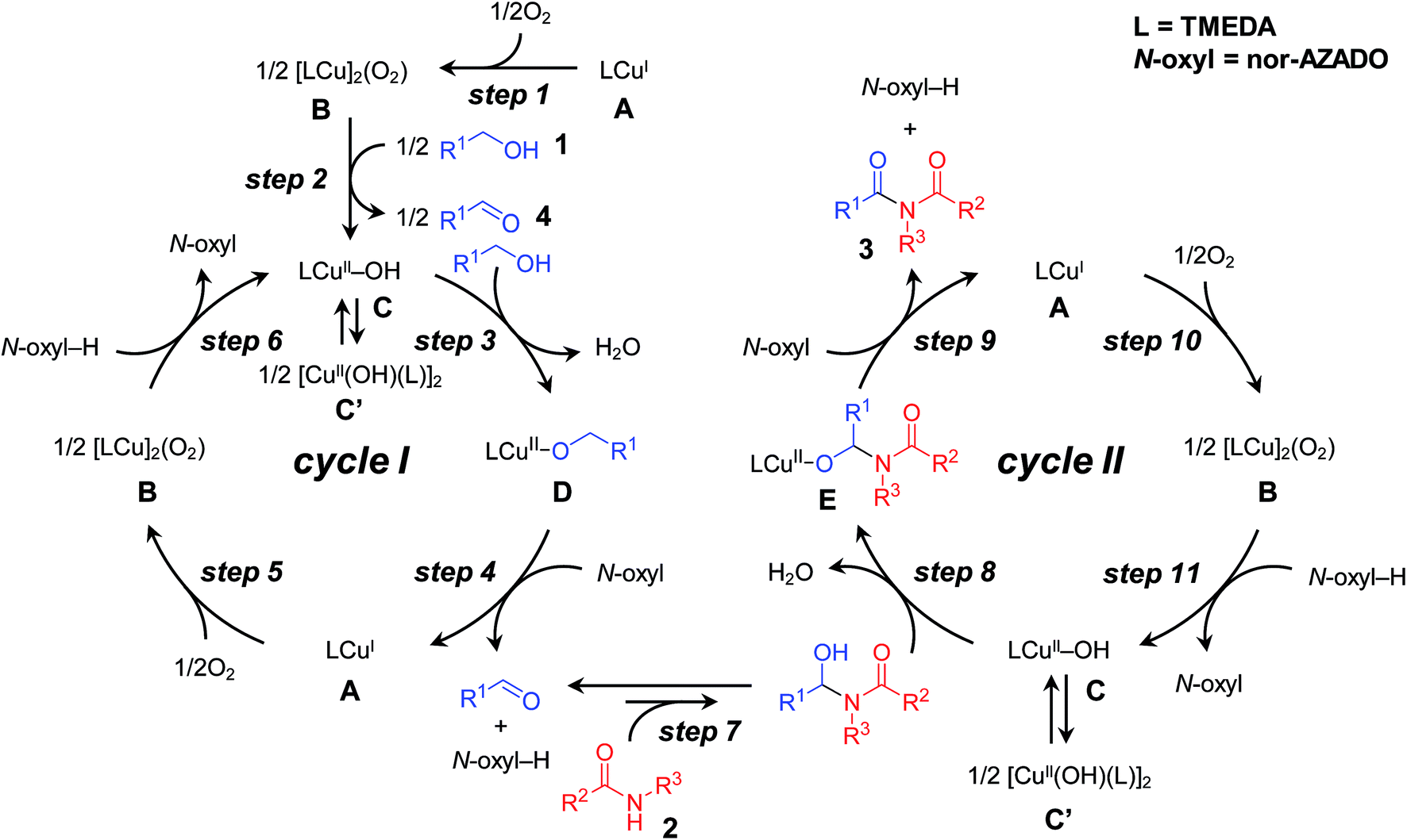 CuCl/TMEDA/nor-AZADO-catalyzed aerobic oxidative acylation of amides ...