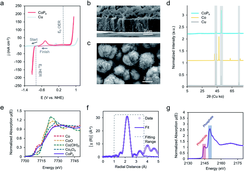 Catalysis by design: development of a bifunctional water splitting ...