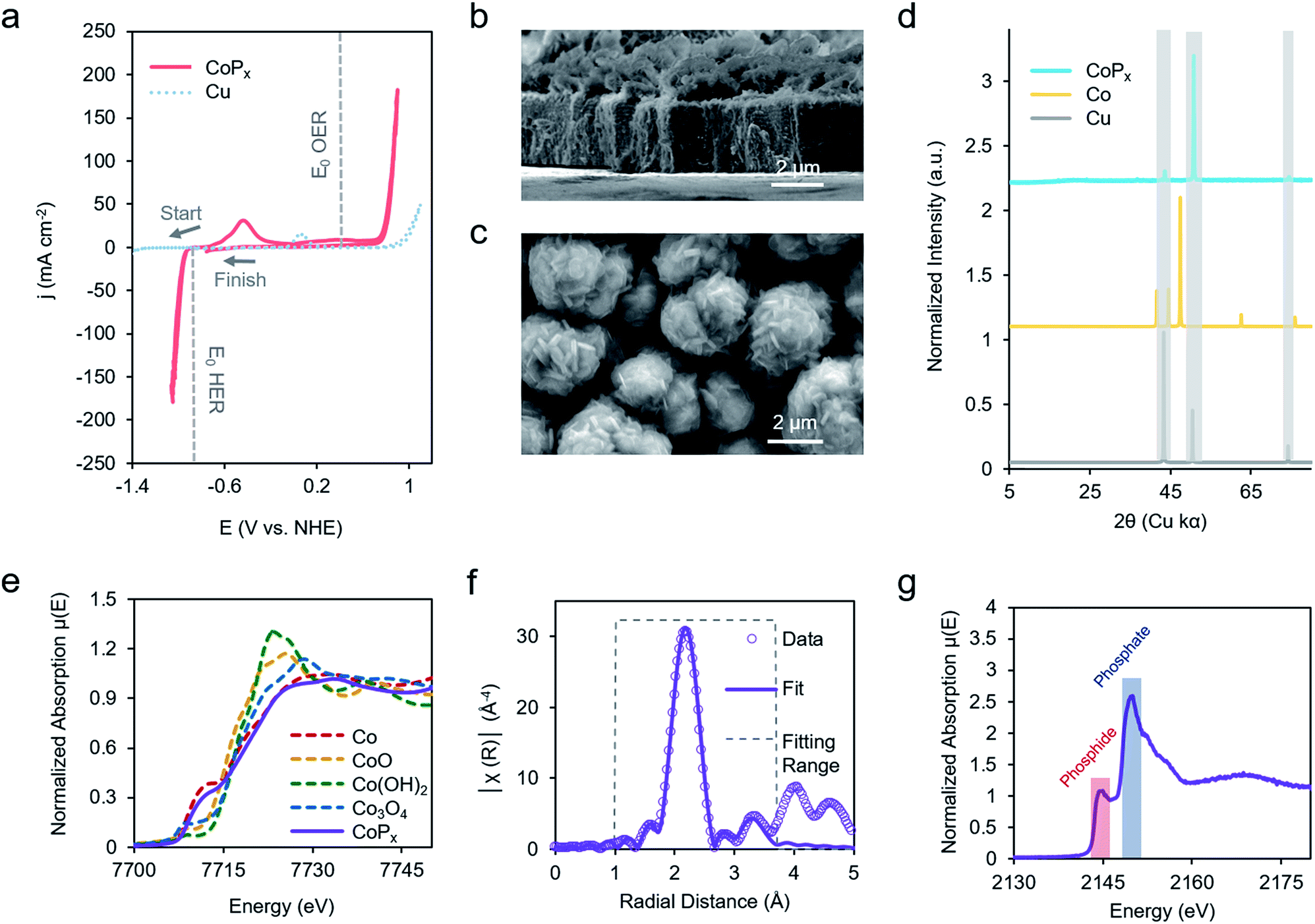 Catalysis by design: development of a bifunctional water splitting ...