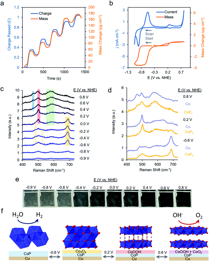Catalysis by design: development of a bifunctional water splitting ...