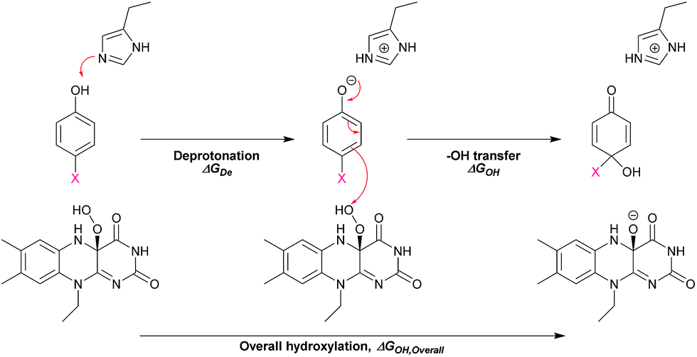 Oxidative dehalogenation and denitration by a flavin-dependent ...