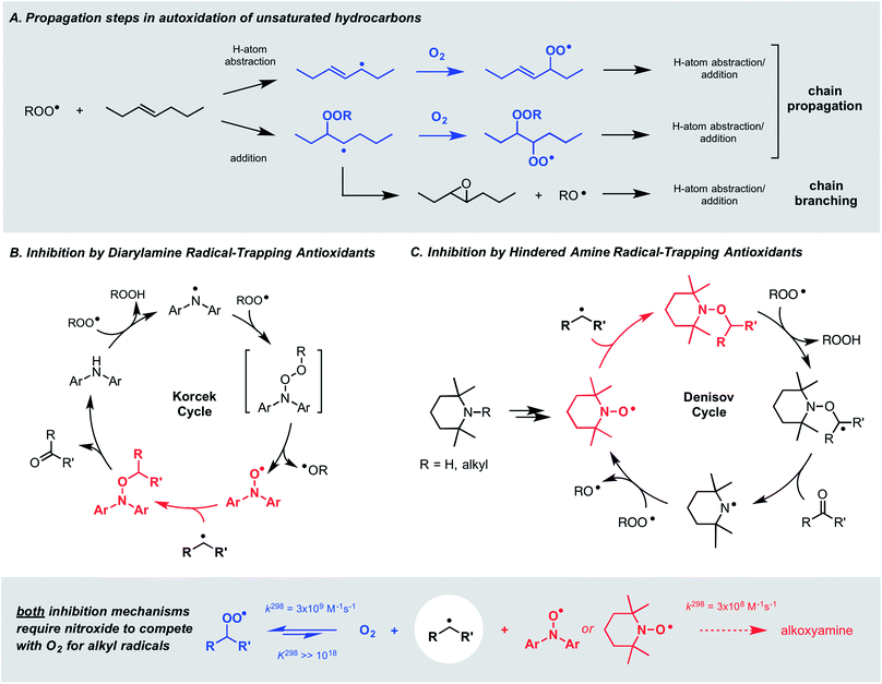 Inhibition of hydrocarbon autoxidation by nitroxide-catalyzed cross ...