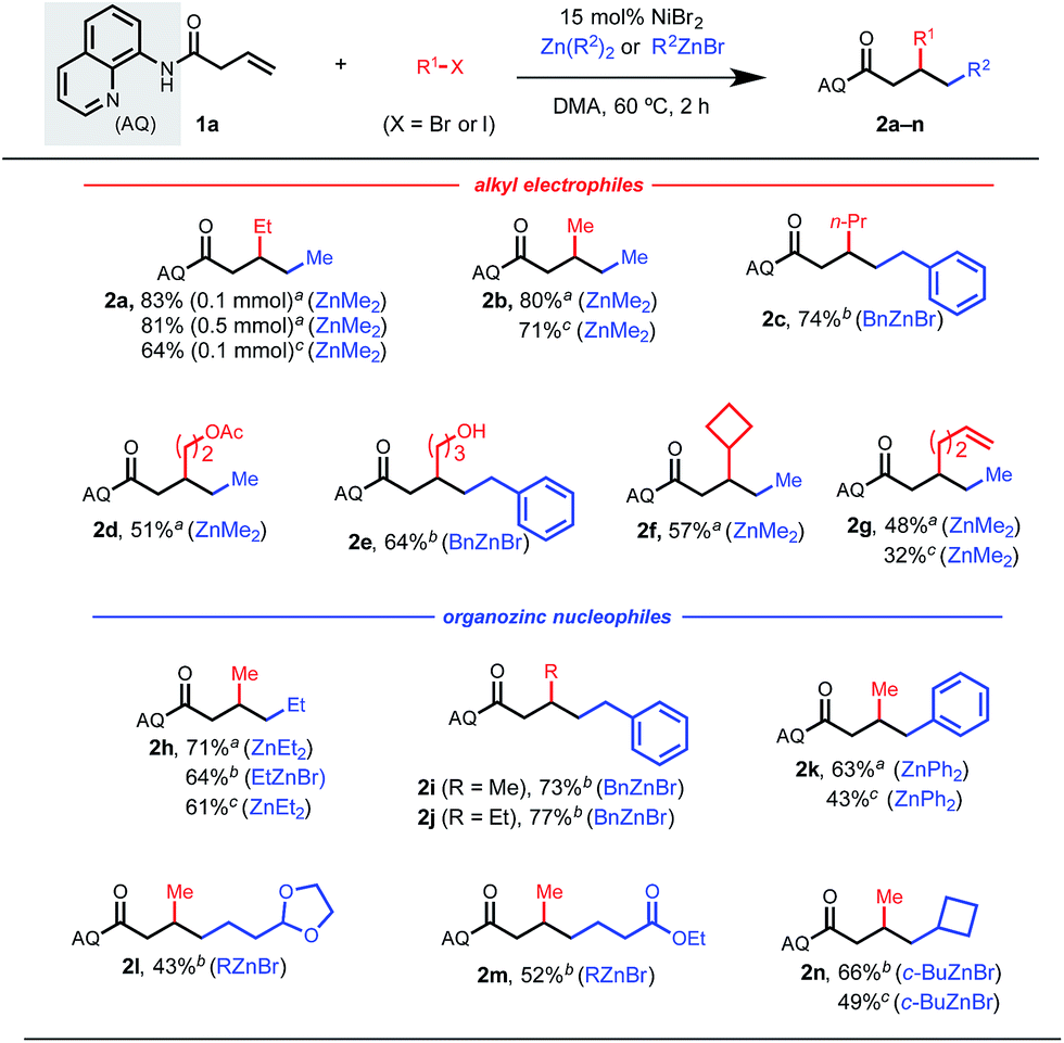 Directed nickel-catalyzed 1,2-dialkylation of alkenyl carbonyl ...