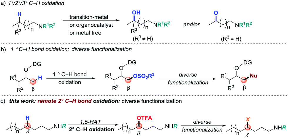 Diverse secondary C(sp 3 )–H bond functionalization via site-selective trifluoroacetoxylation of ...