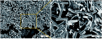 Norbornene chaotropic salts as low molecular mass ionic organogelators ...