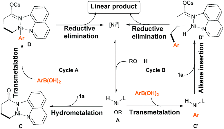 Nickel(0)-catalyzed linear-selective hydroarylation of unactivated ...