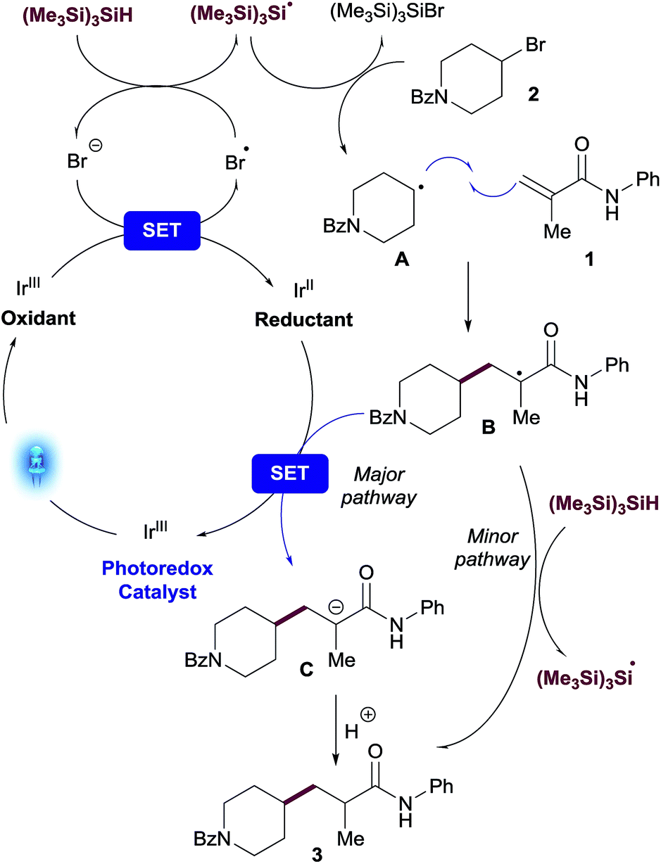 Silyl-mediated photoredox-catalyzed Giese reaction: addition of non ...