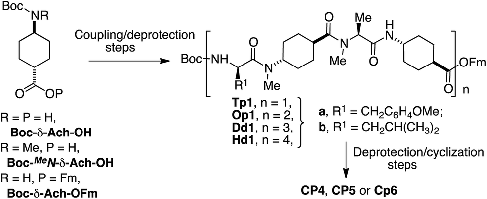 New self-assembling peptide nanotubes of large diameter using δ-amino ...