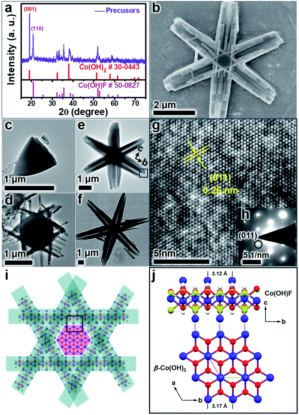 Quasi-single-crystalline CoO hexagrams with abundant defects for highly ...