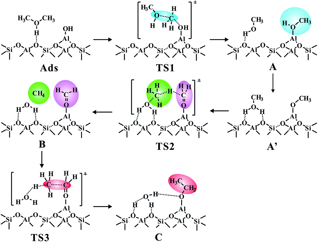 Brønsted/Lewis acid sites synergistically promote the initial C–C bond ...