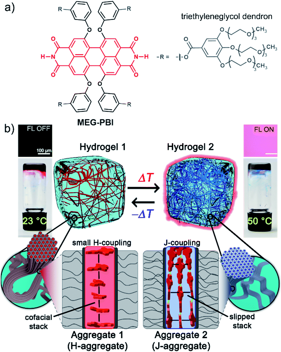 Hydrogen-bonded perylene bisimide J-aggregate aqua material - Chemical ...