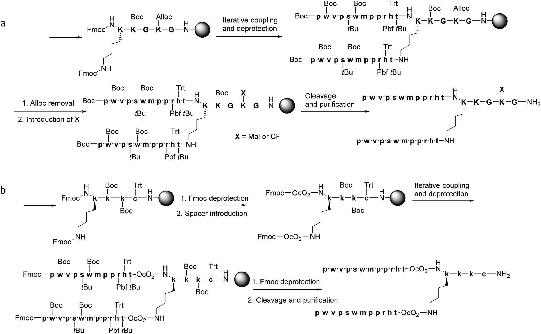 Branched BBB-shuttle peptides: chemoselective modification of proteins ...