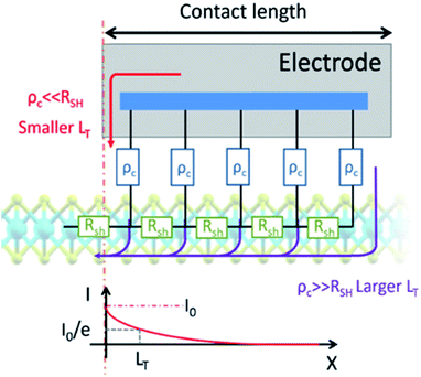 Charge carrier injection and transport engineering in two-dimensional ...