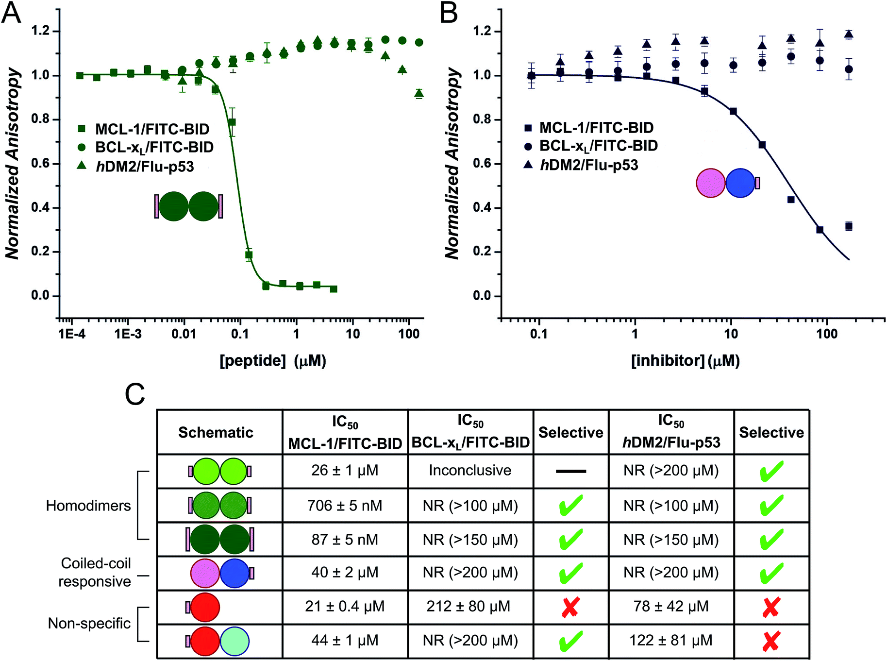 De novo coiled-coil peptides as scaffolds for disrupting protein ...