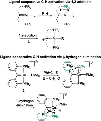 Synthesis and reactivity of a PC carbene P cobalt( i ) complex: the ...