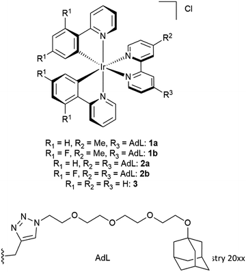 Phosphorescent cationic iridium( iii ) complexes dynamically bound to ...