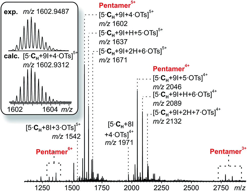 Surprising solvent-induced structural rearrangements in large [N⋯I + ⋯N ...