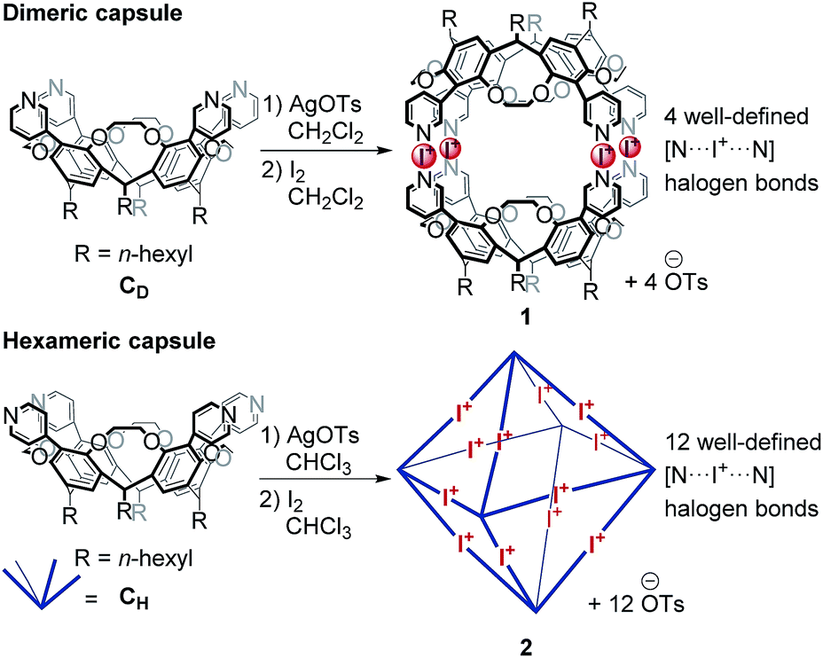 Surprising solvent-induced structural rearrangements in large [N⋯I + ⋯N ...