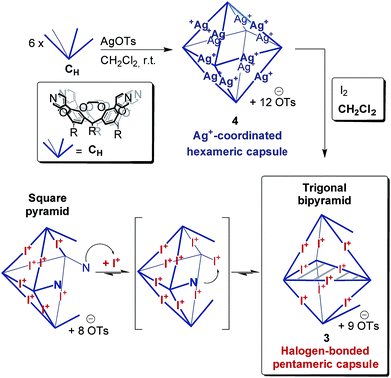 Surprising solvent-induced structural rearrangements in large [N⋯I + ⋯N ...