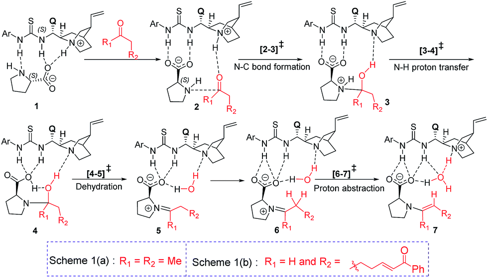 Two chiral catalysts in action: insights into cooperativity and ...