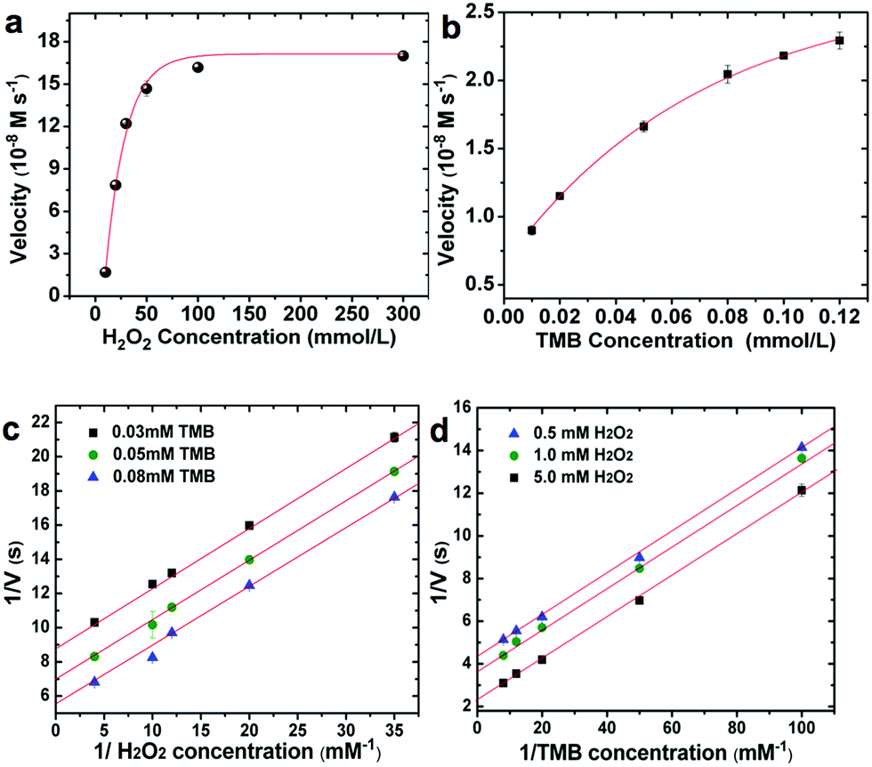 Luminescent mesoporous nanorods as photocatalytic enzyme-like ...