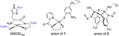 Simultaneous nitrosylation and N-nitrosation of a Ni-thiolate model ...