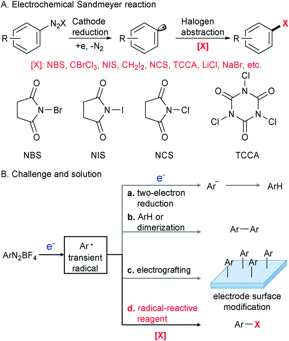 A general electrochemical strategy for the Sandmeyer reaction ...