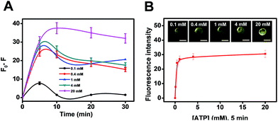 Lab-on-a-micromotor: catalytic Janus particles as mobile microreactors ...