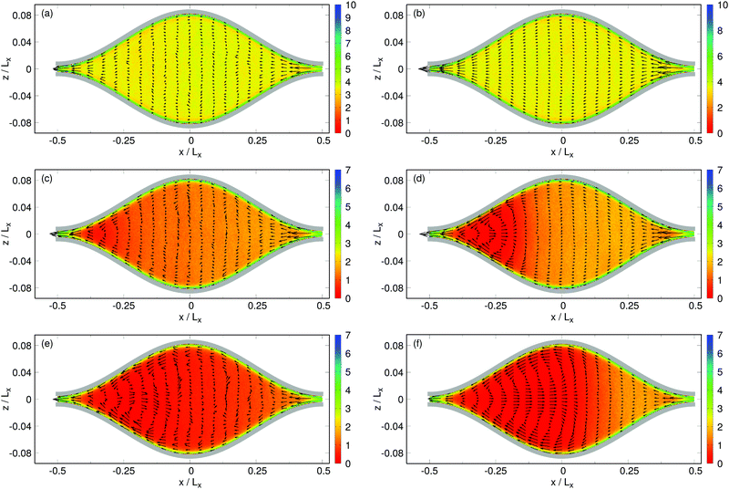 Charge polarization, local electroneutrality breakdown and eddy ...