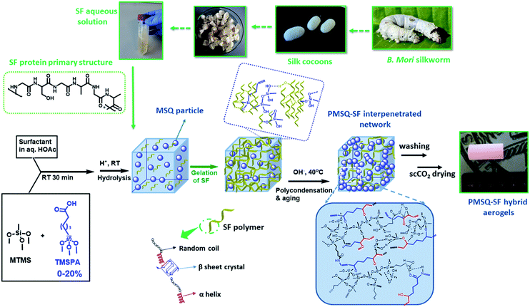 Novel multifunctional polymethylsilsesquioxane–silk fibroin aerogel ...