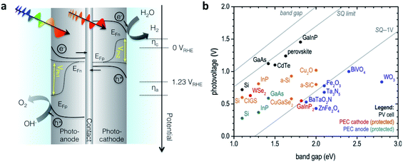 A bright outlook on organic photoelectrochemical cells for water ...