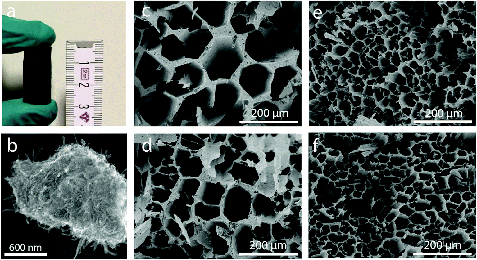 Directional freeze-cast hybrid-backbone meso-macroporous bodies as micromonolith catalysts for ...