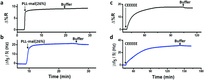 Low-fouling, mixed-charge poly- l -lysine polymers with anionic ...